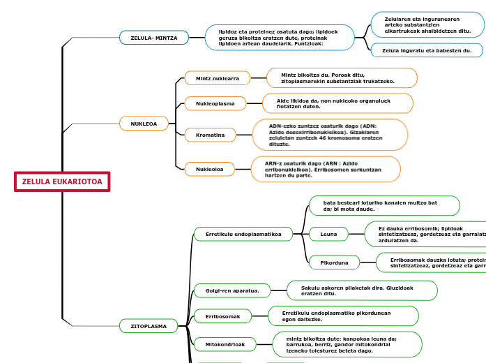 ZELULA EUKARIOTOA - Mind Map